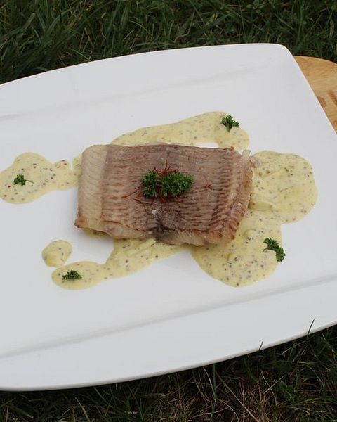 Welsfilet Rezepte | Chefkoch