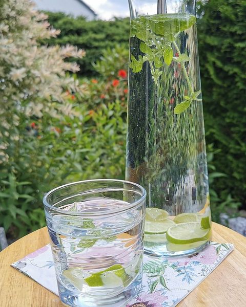 Wasser Mit Zitronenmelisse