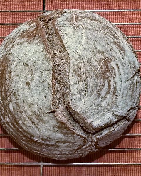 Gerstenmehl Rezepte | Chefkoch