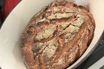 Roggen-Dinkel-Mischbrot im Römertopf von Bergdrache| Chefkoch