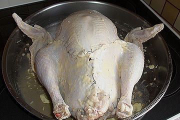 Gefüllter Truthahn von gisa1| Chefkoch