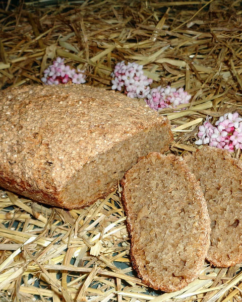 Gerstenbrot Rezepte | Chefkoch