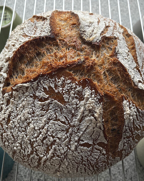 Topfbrot Rezepte | Chefkoch