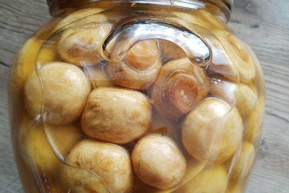 Champignons fermentiert von Klaumix