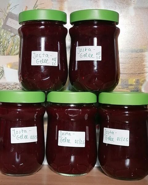 Jostabeeren Marmelade Rezepte
