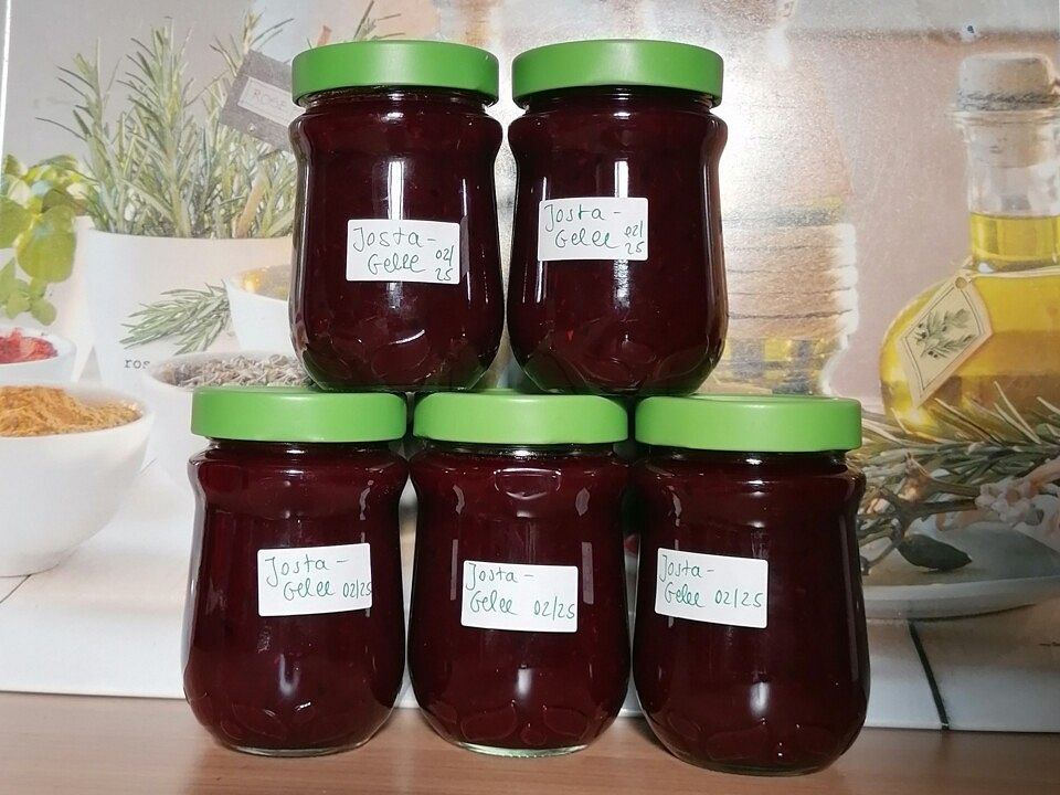 Elegantes Jostabeeren Marmelade Rezepte Fotos