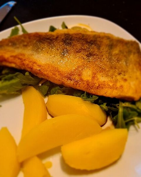 Zander Rezepte | Chefkoch