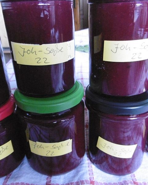 Jostabeere Rezepte Saft