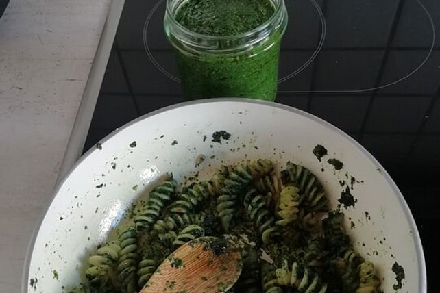 Palmkohl-Pesto von AFi| Chefkoch