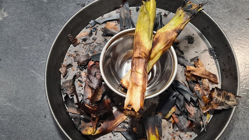 Verbrannter Lauch