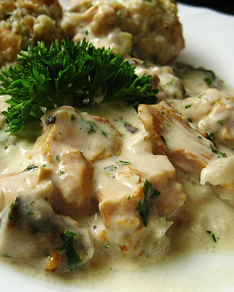 Waldpilze Rezepte | Chefkoch