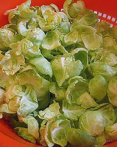 Blattkohl Rezepte | Chefkoch