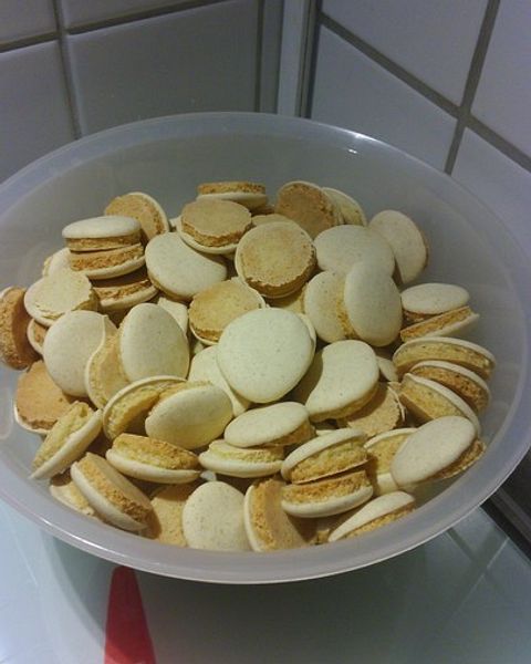 Anisplätzchen Rezepte | Chefkoch