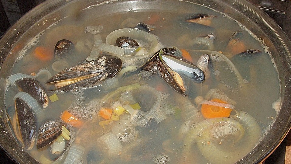 Muscheln klassisch-rheinische Art von Flegrea