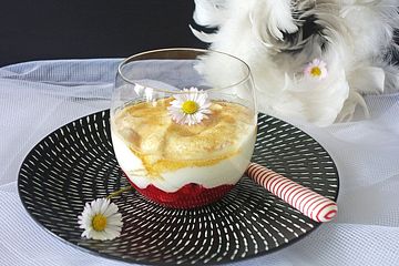 Himbeer - Sahne - Pudding von Minxi| Chefkoch