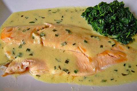 Rotbarsch in Bärlauch - Limetten - Senf - Sauce von Käthe| Chefkoch