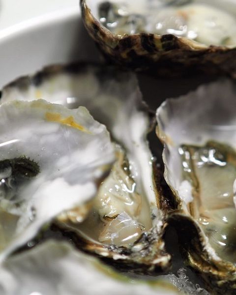 Austern Rezepte | Chefkoch