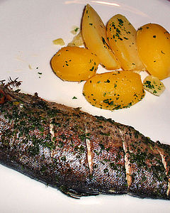 Forelle Rezepte | Chefkoch