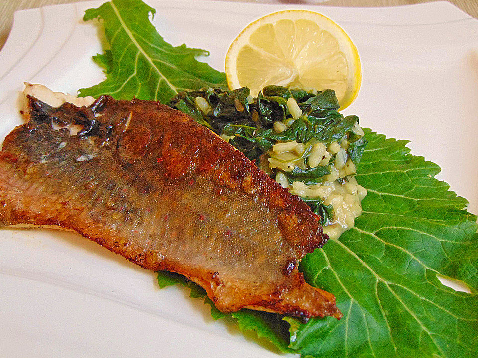 Saiblingsfilet auf Mangoldragout von heimwerkerkönig| Chefkoch