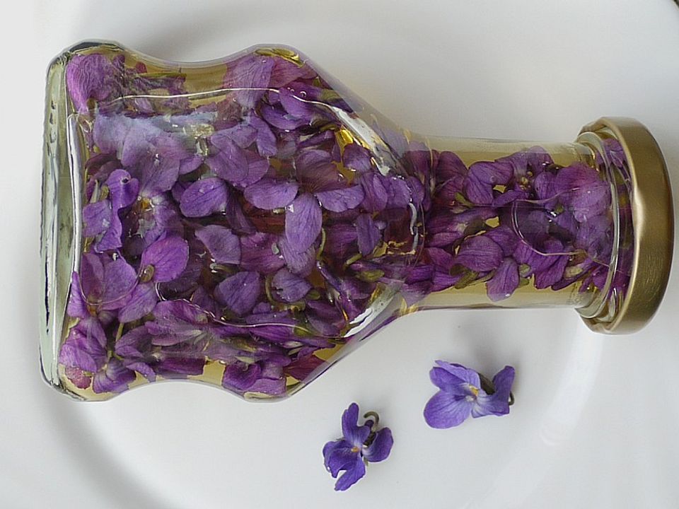 Veilchenessig von M4162 | Chefkoch