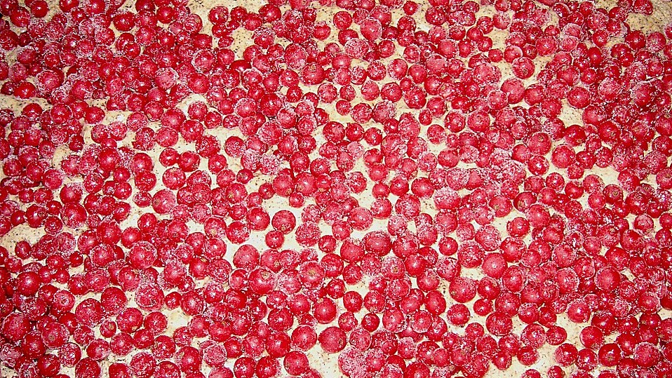 Mohnkuchen mit Johannisbeeren von Kimble