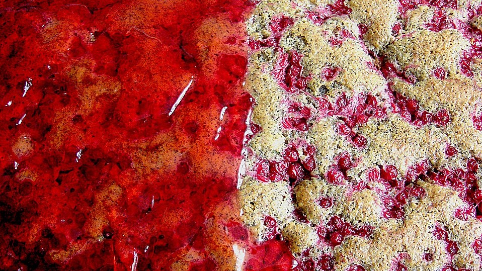 Mohnkuchen mit Johannisbeeren von Kimble