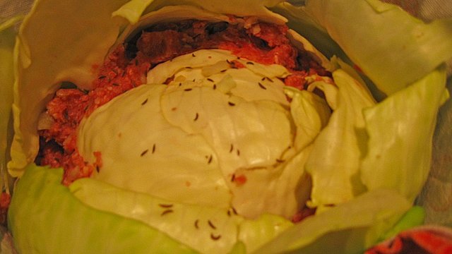 Gefüllter Kohlkopf von Paradieschen