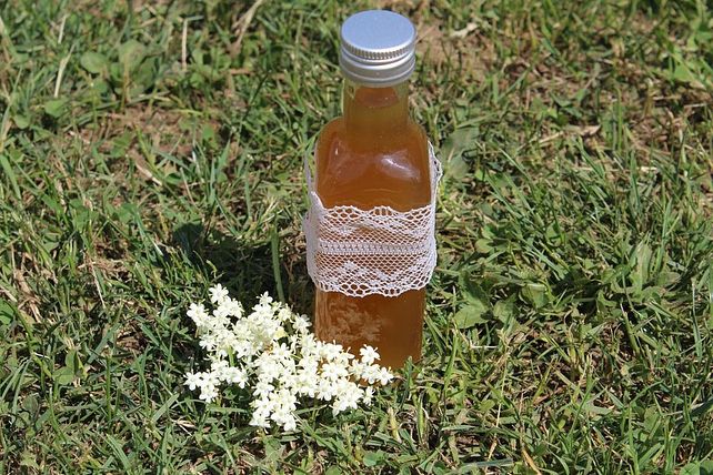 Holunderblüten - Sirup von lindamarie| Chefkoch