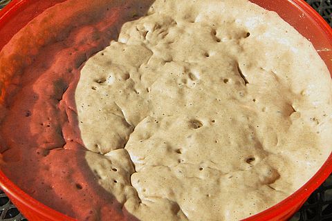 Sauerteig von Crostini| Chefkoch